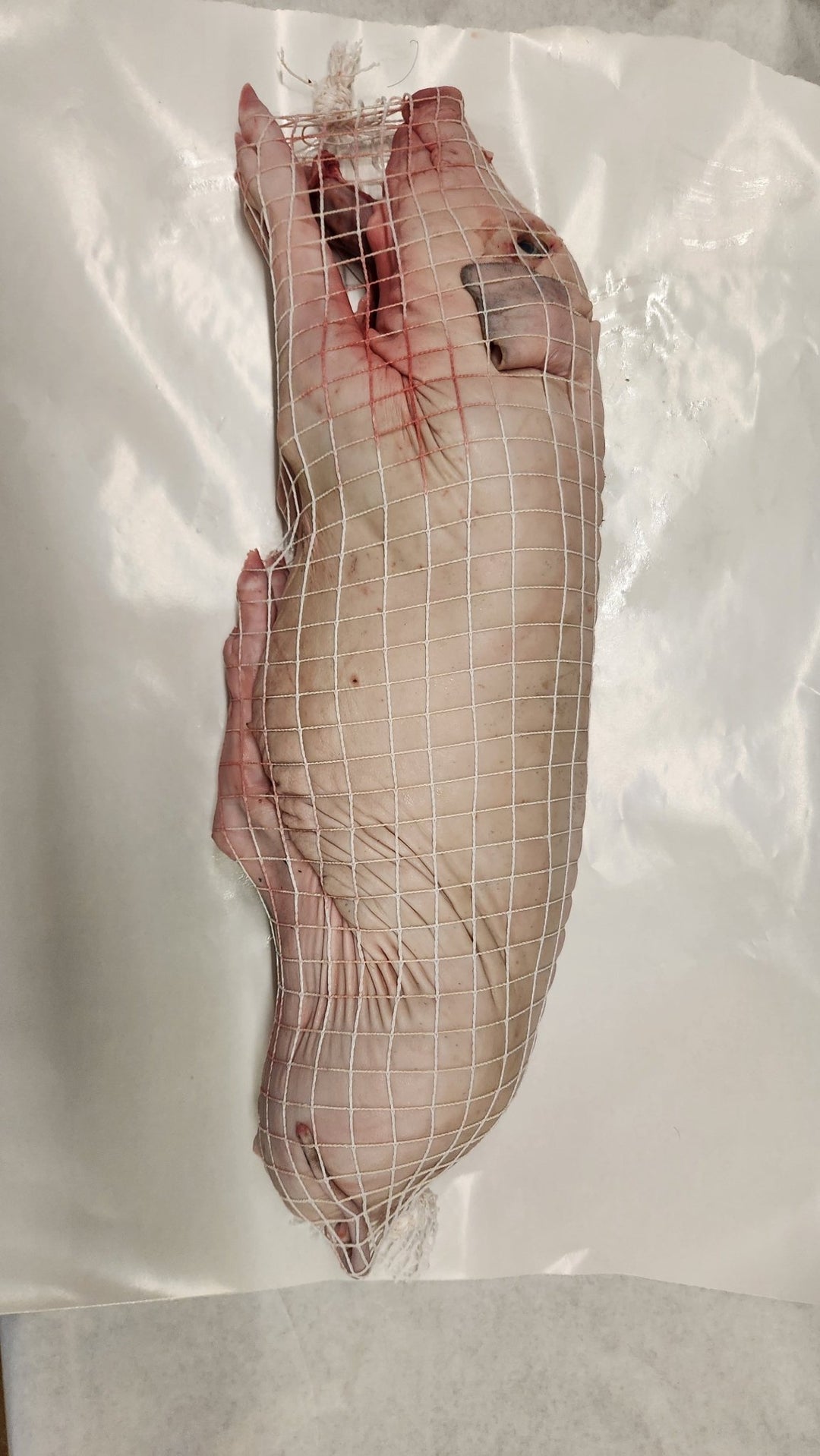 Texas Wild Boar Roasters – Half Calf